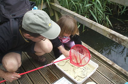 pond_dipping - Arnside Silverdale AONB : Arnside Silverdale AONB